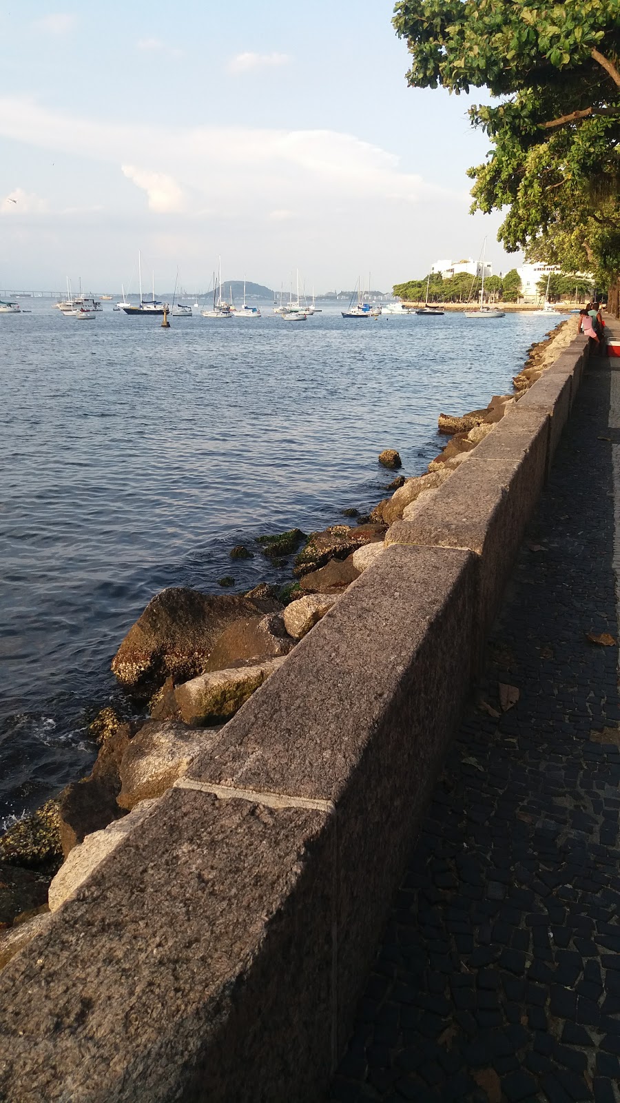 Mundo Leonardo Pierre