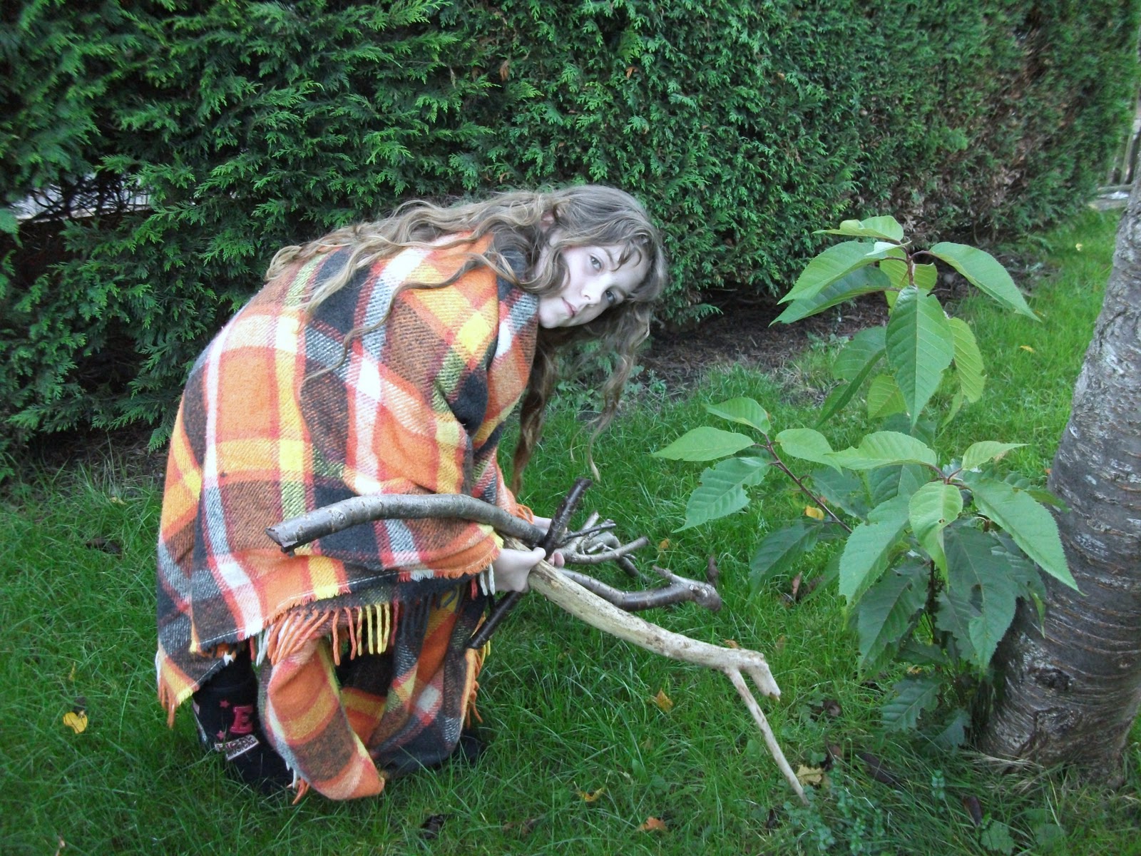 A Week in the Life of a Celtic Child: A Celtic Child's Life by Lilias ...