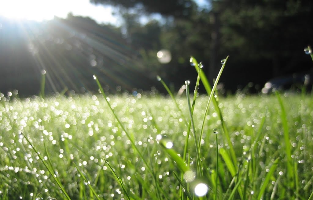 Grupo de Física 308: FENÔMENOS METEOROLÓGICOS - GEADA - CHUVA - ORVALHO