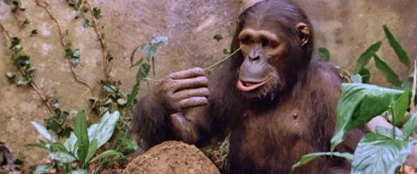 1984 Blogathon - Greystoke: The Legend of Tarzan, Lord of the Apes