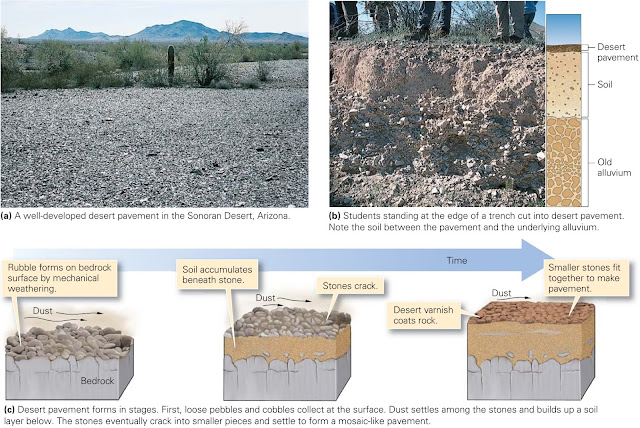 Learning Geology: Desert Landscapes and Life