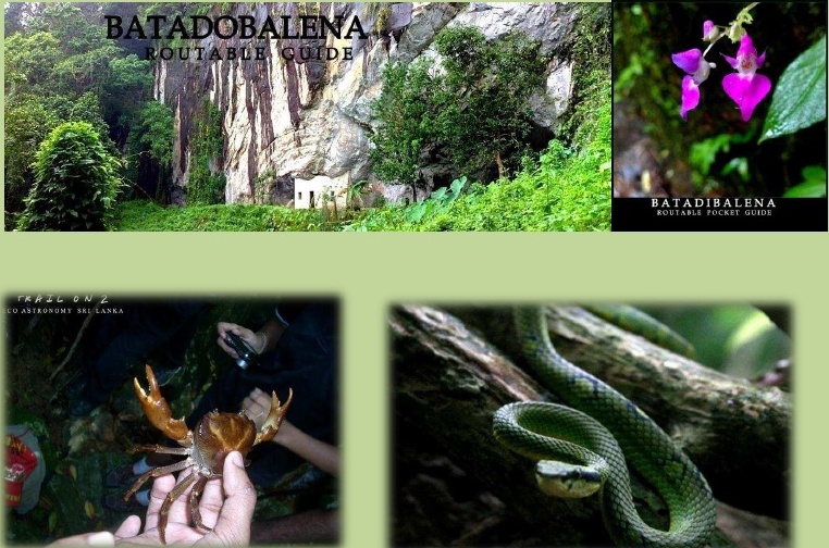 beautiful places in sri lanka : Batadomba lena - Kuruwita