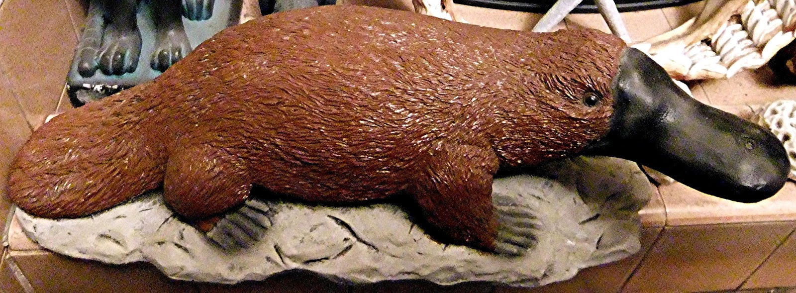 ShukerNature: A COUPLE OF CRYPTO-PLATYPUSES FROM NORTH AMERICA