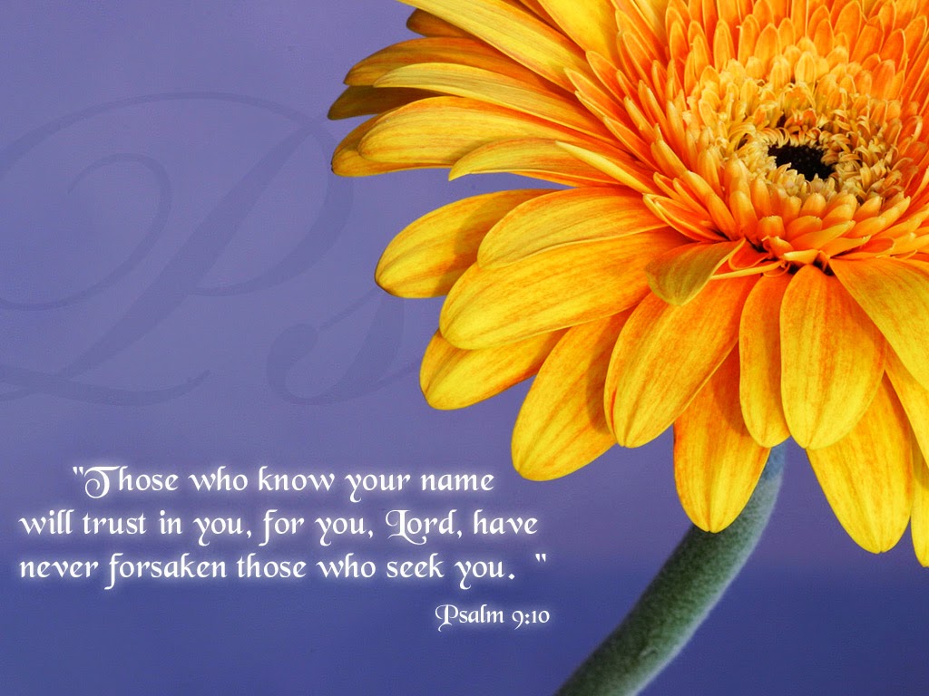 Psalms 9 12 Psalms 9 12