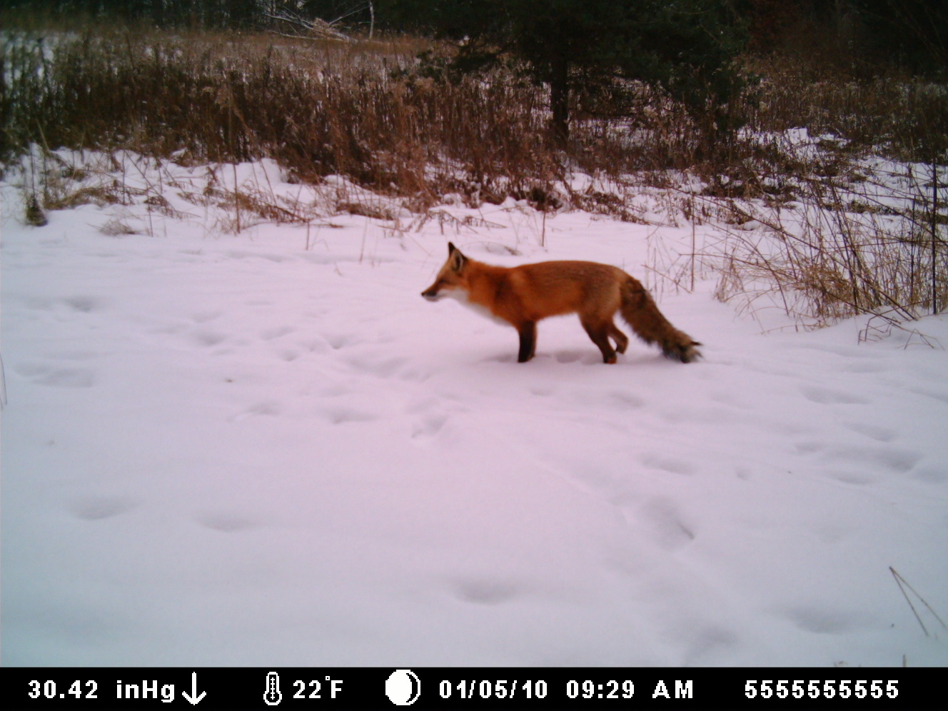 The Oakland Press Blogs: Earth's Almanac: December 2011