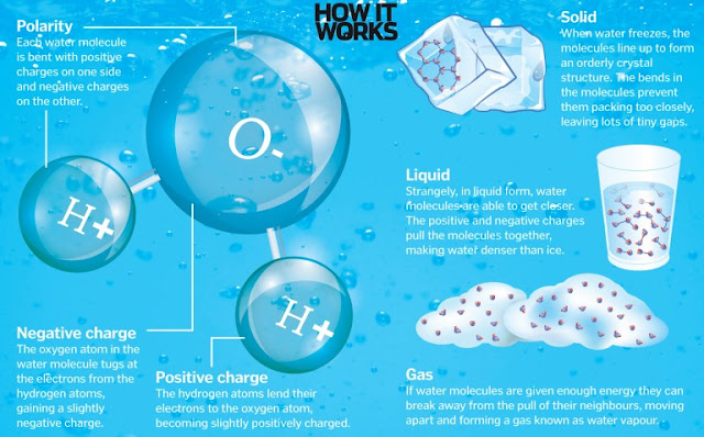 The wonders of water: How is this chemical the key to life? | knowledge ...