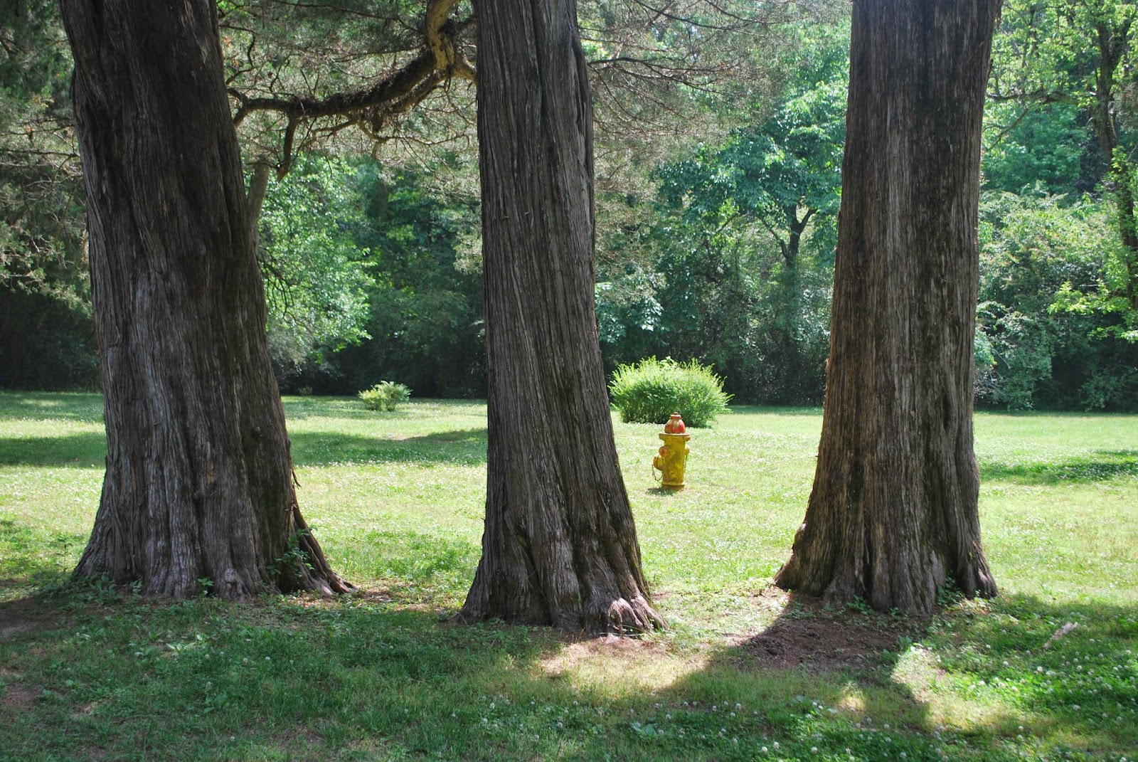 ARTS&FOOD®™: A Visual Tour of "Rowan Oak Museum" William Faulkner's ...