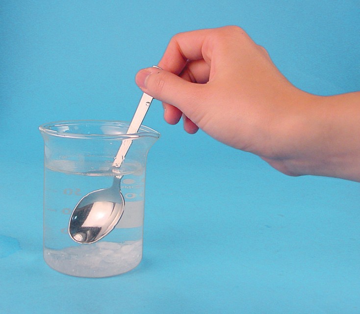 SCIENCE YEAR 2: Pictures