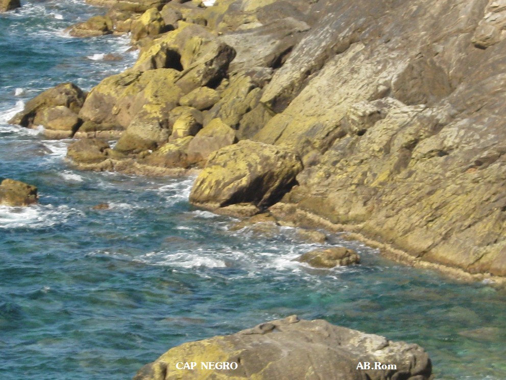 Cap Negro Tunisie 2012 (Nefza Béja ) - CAP-NEGRO-Romdhani.overblog.com