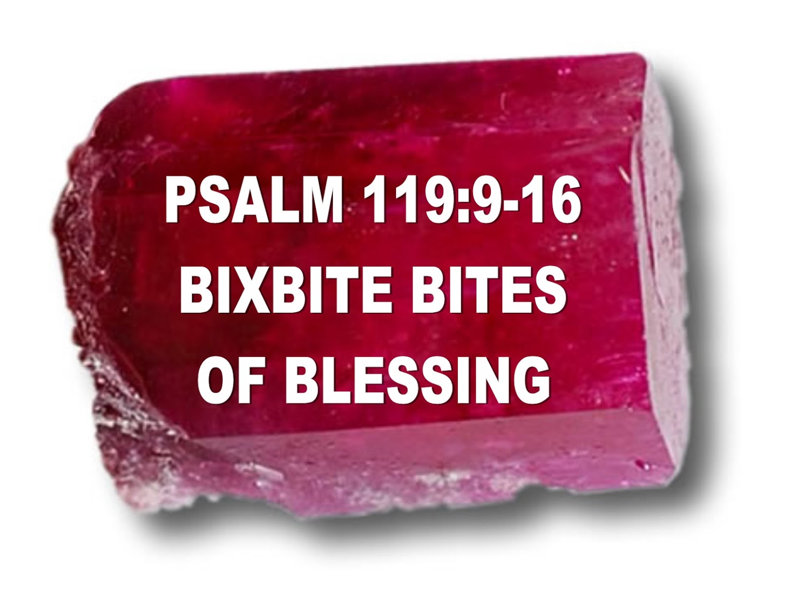 Bible Study Discussion with Susan & Susie: April 2018