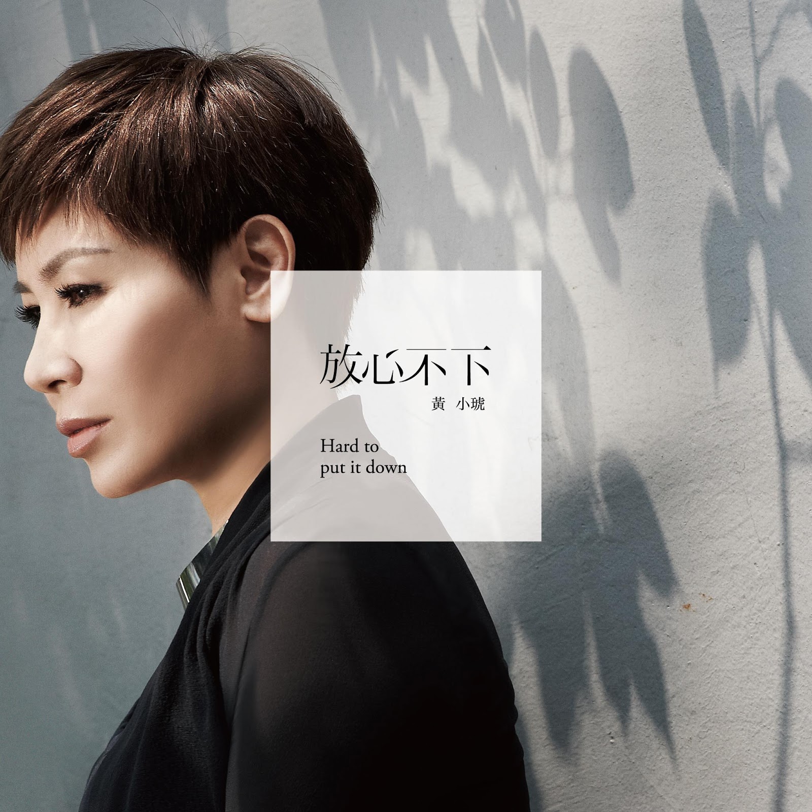 Tiger Wong - Hard To Put It Down - iHonHon