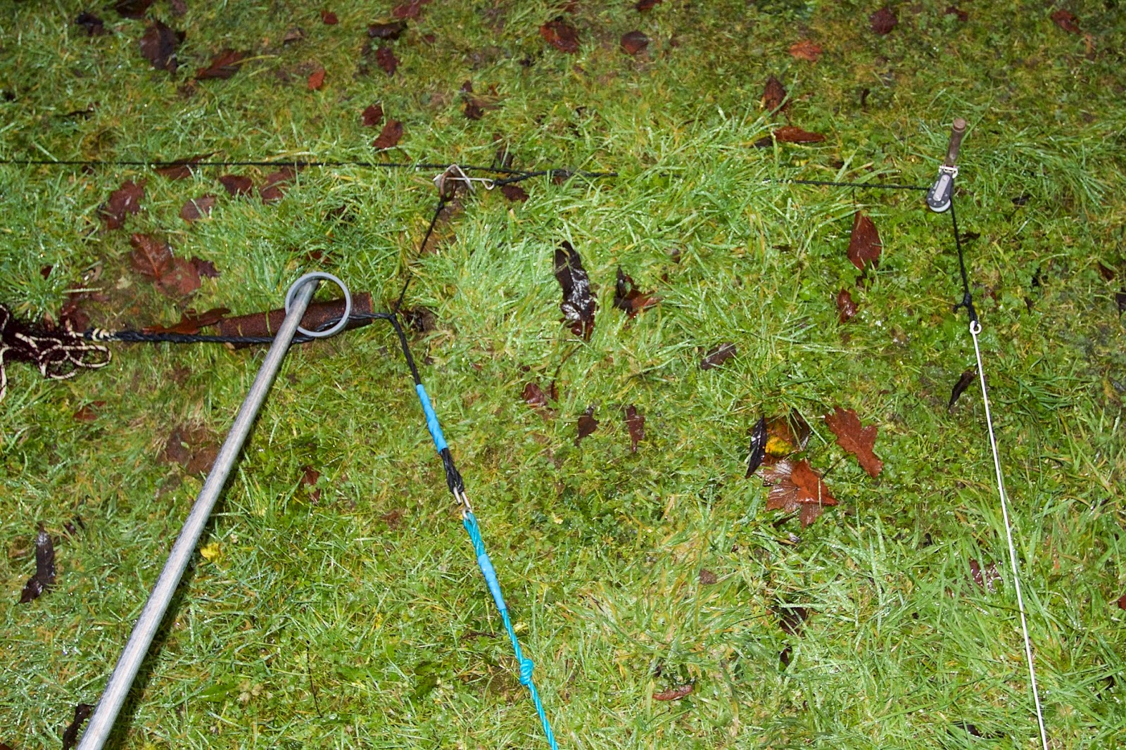 Charlie Sargent's bird ringing: Whoosh Net now operates remotely