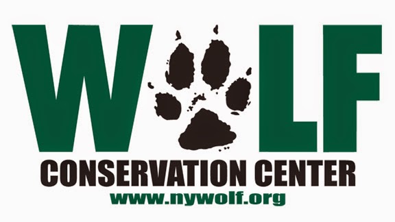 RETURN OF THE RED WOLF: RWSSP site of the month--Wolf Conservation Center!