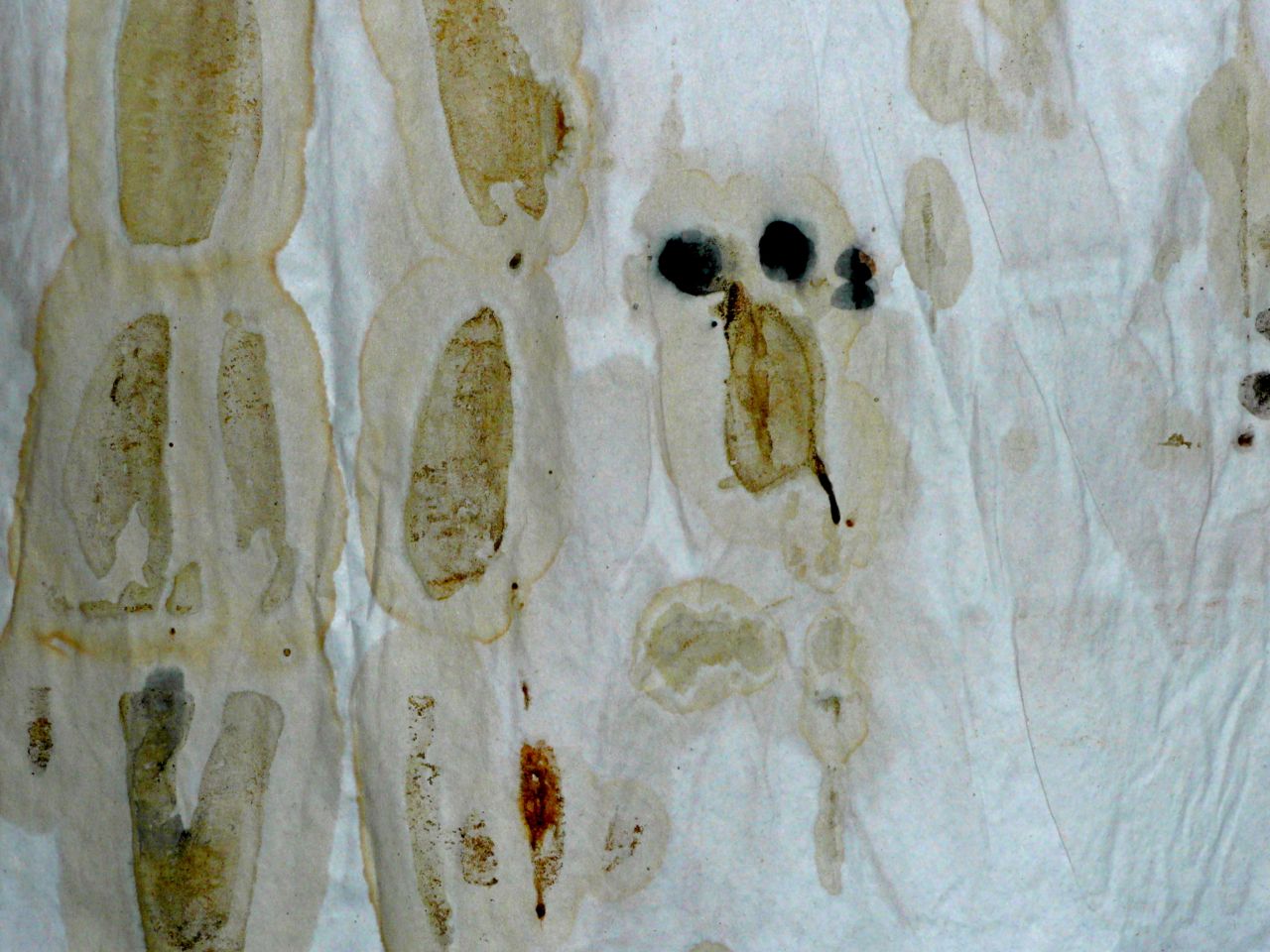 tracemarks: ink sludge and papermarks ..........