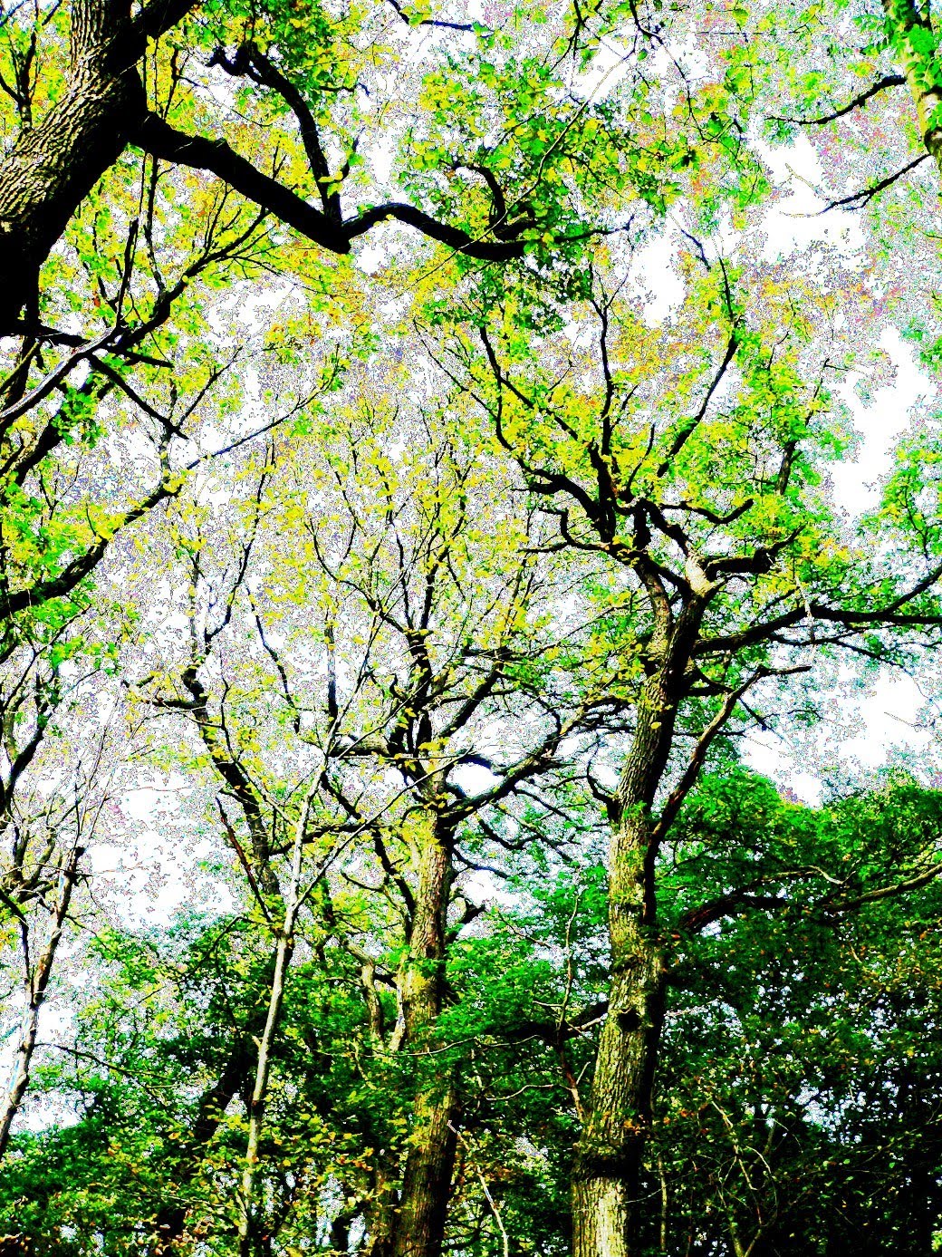 Von Pappe II: More portrait painting practice...