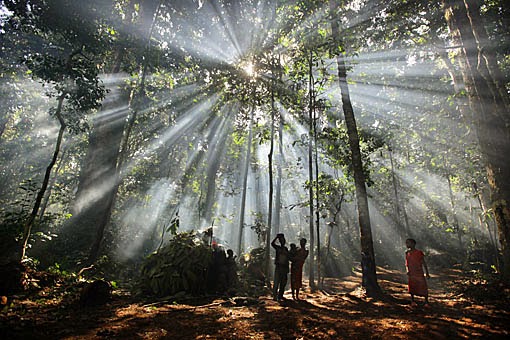 YOUNG PHOTOGRAPHER OF THE YEAR : Timothy Allen