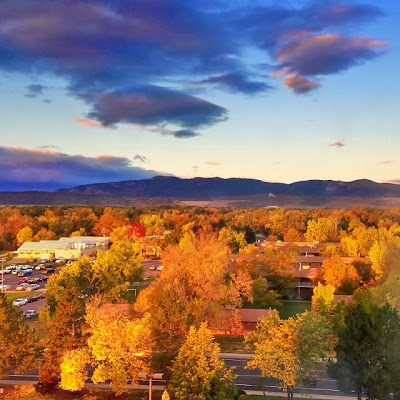 Sweet Divergence: Changing Seasons