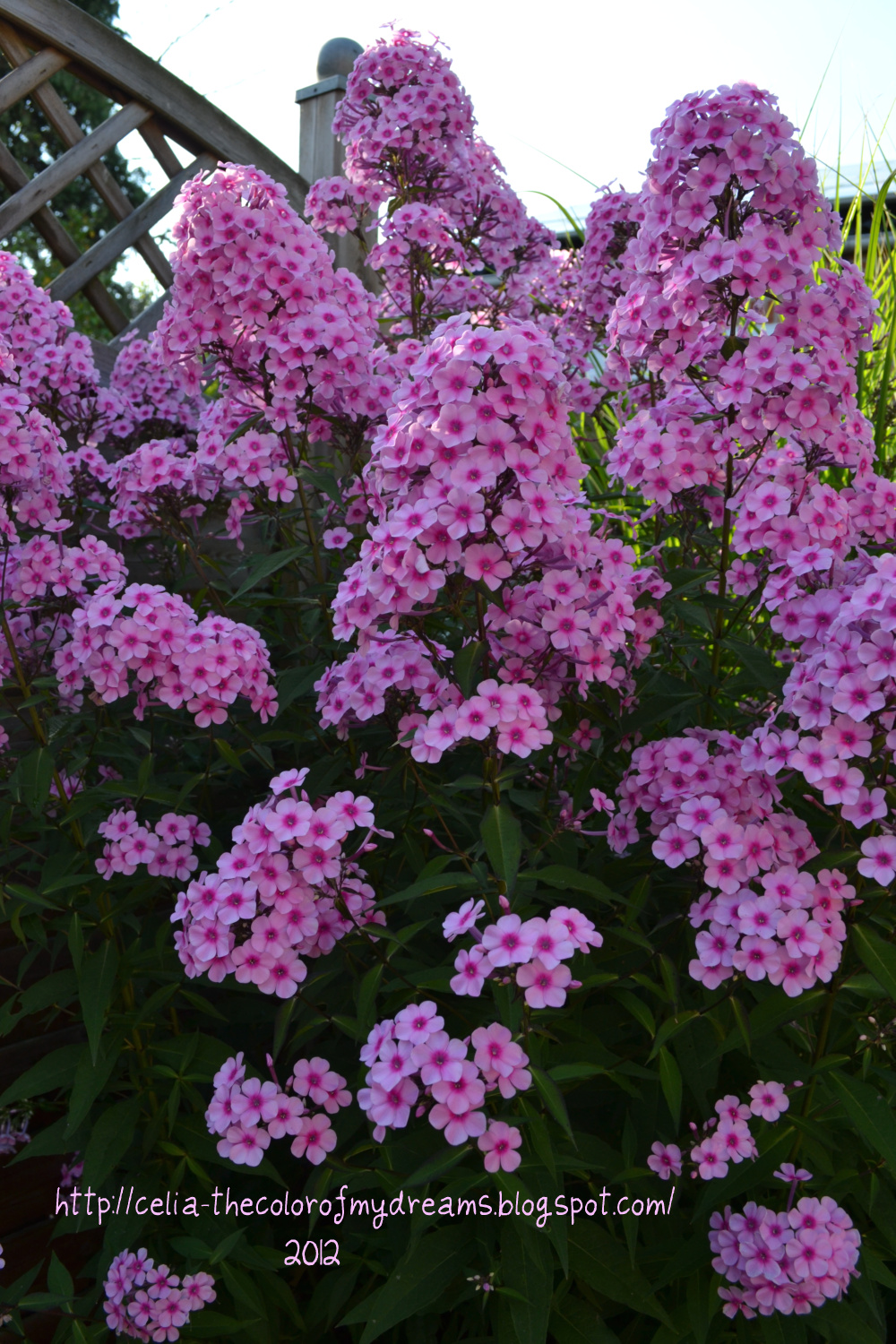 Copic Marker Benelux: Kaartje met "Floxen".