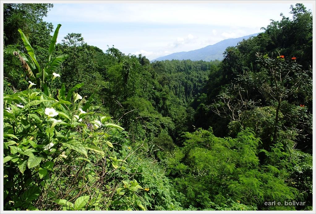 Bukidnon Photo Journal: Alalum Falls in Kisolon, Sumilao, Bukidnon