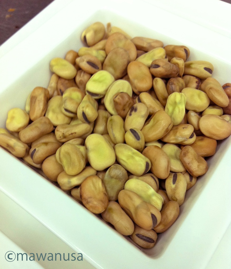 Mawanusa Blog: Tamiya