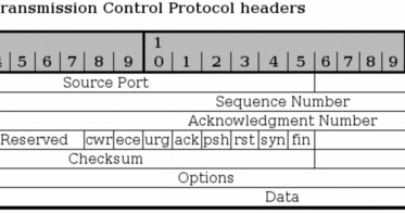 TCP header fields
