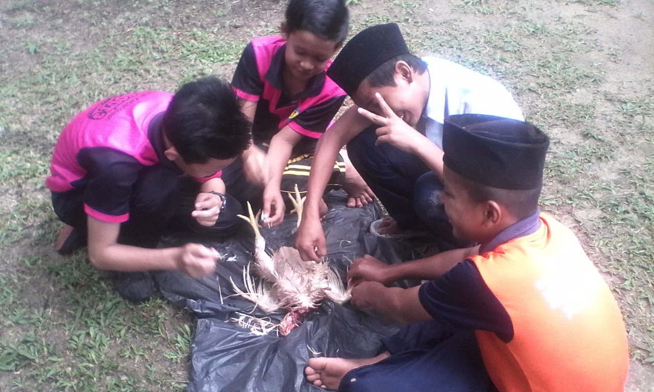 SKB3: Amali Sembelihan Program Tahun 6 Selepas UPSR