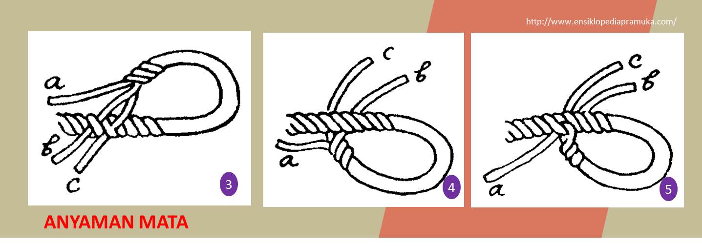 Tali temali : Jenis-jenis Simpul Anyam