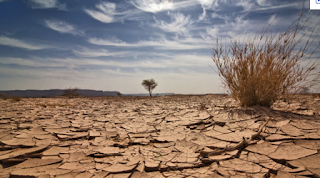 dot your eye: Like a man crawling through the desert dying of thirst...