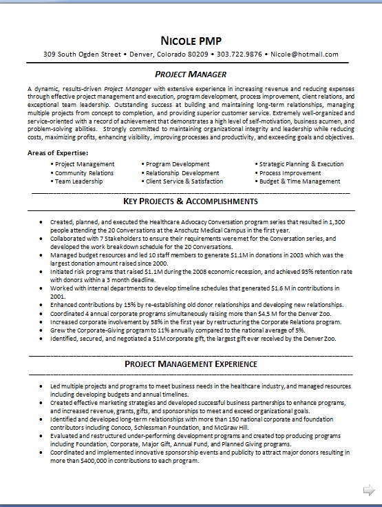 Build A Project Manager Curriculum Vitae Format in Word Free Download