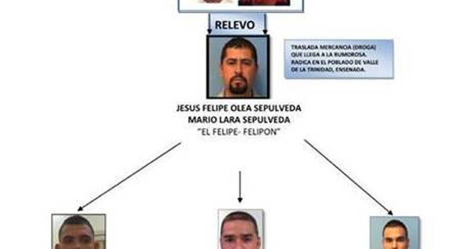 ¿Qué pasa BC?: REVELAN ESTRUCTURA DEL CJNG EN TIJUANA