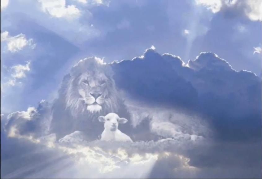 Torah Básica: El Alfa Y Omega