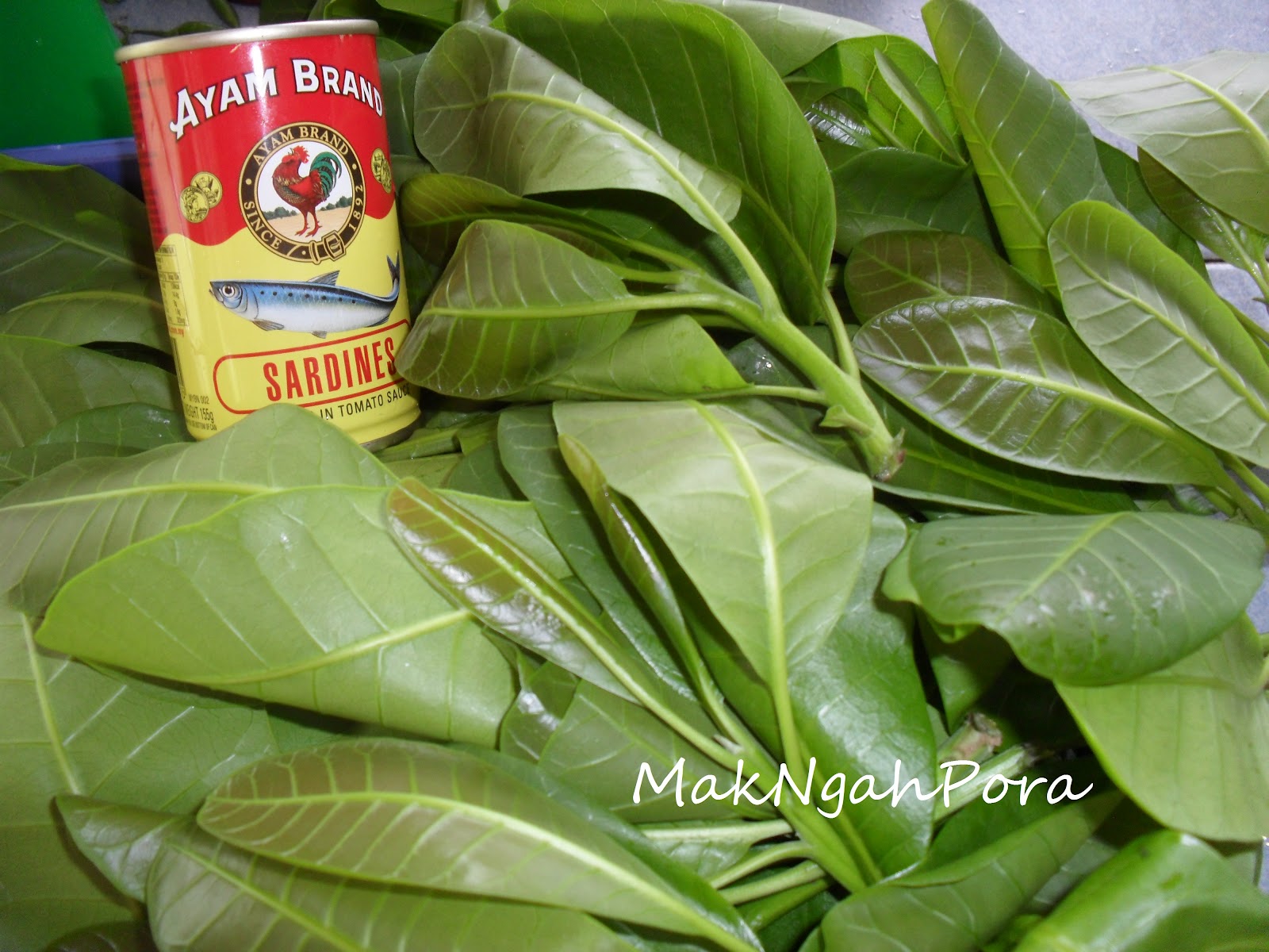 Mak Ngah Pora: Kerabu sardin dengan pucuk janggus