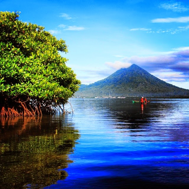 Halmahera Hijau: Strategi Pengelolaan Kawasan Hutan Lindung Hutan ...