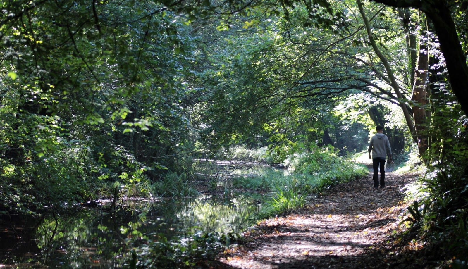 sconzani: Cardiff walks: Forest Farm Nature Reserve