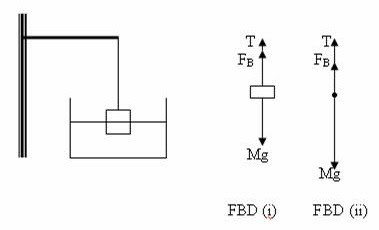 AP Physics Resources: Free Body Diagrams for AP Physics B and C