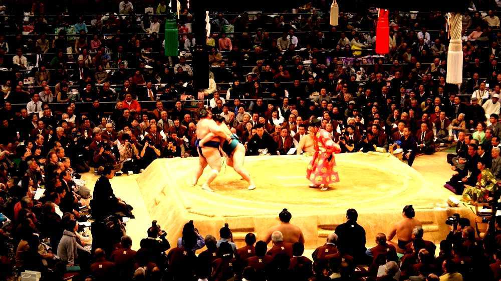 Glossary of sumo terms