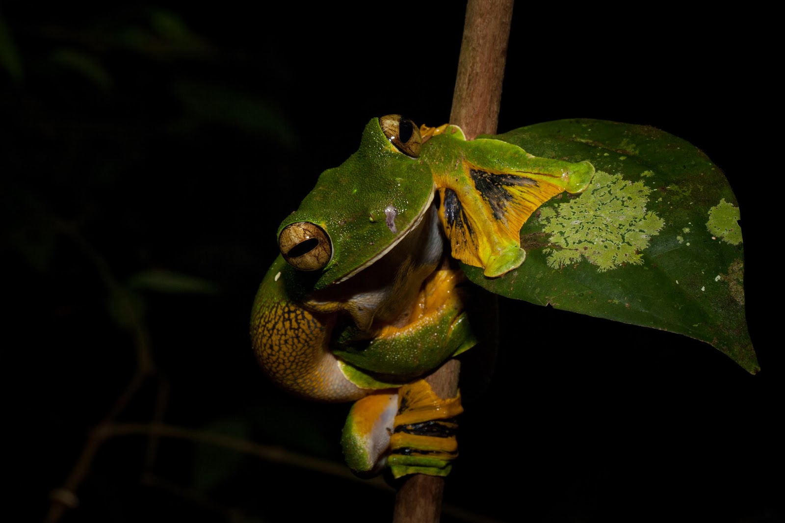 Sticky Rice Travel - Photostream