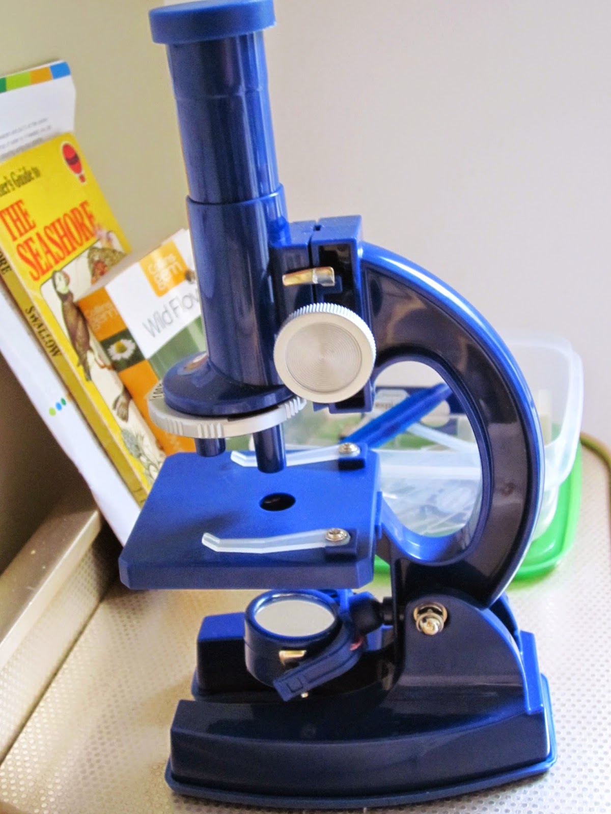 Adventures at Home: An investigation station