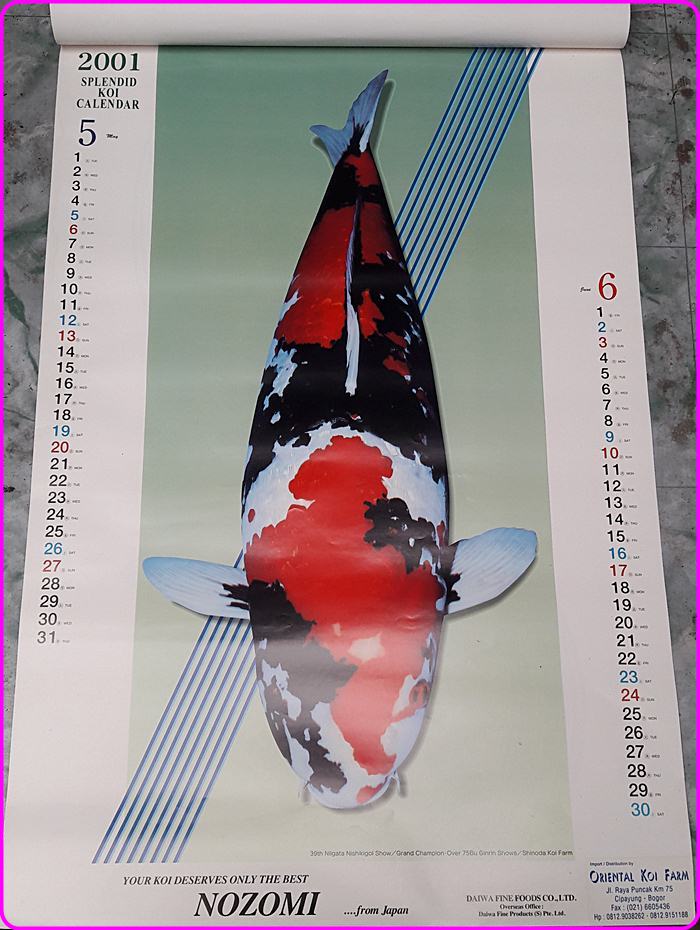 STUDIO ANTIQUE: KALENDER IKAN KOI Th. 2001 - CALENDER KOI JEPANG ...