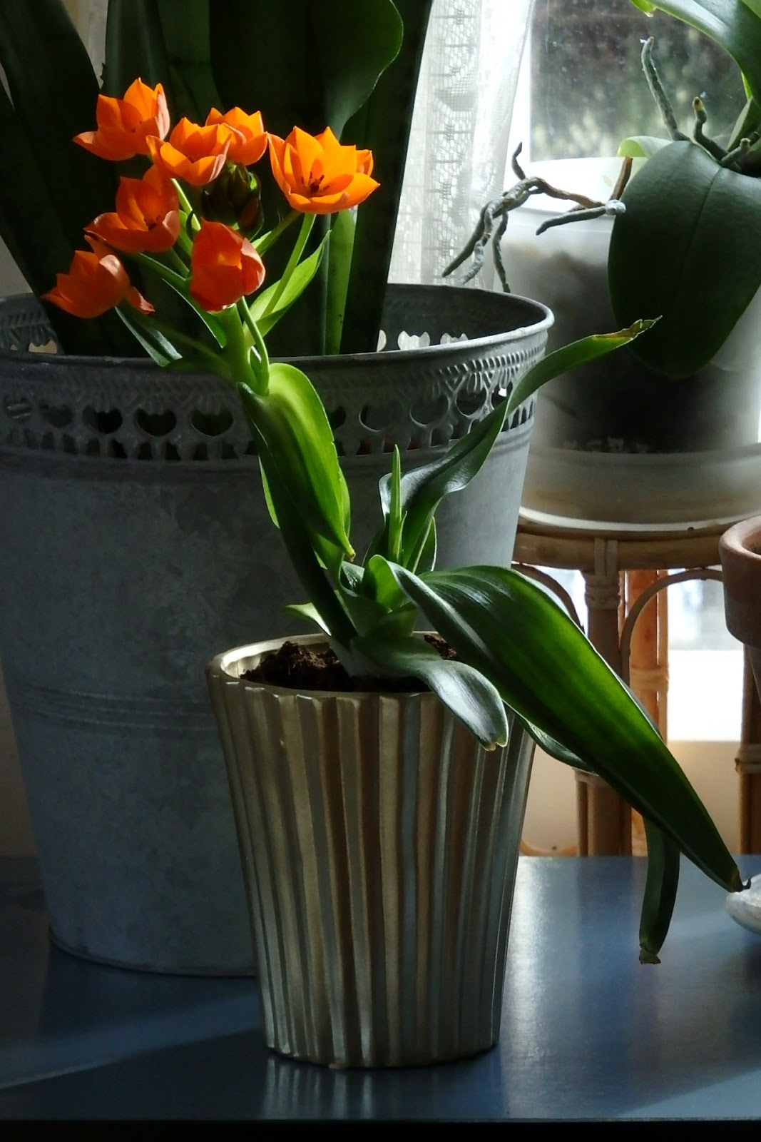 VIHREÄT AJATUKSET: Iloisen oranssi