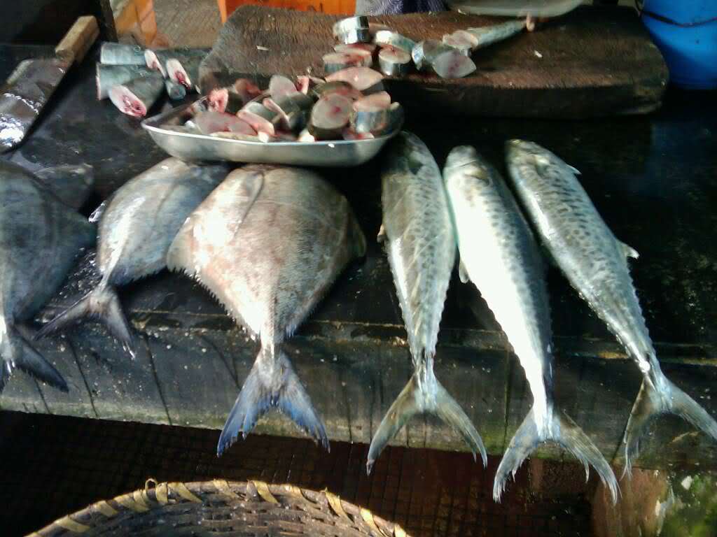 k4kannur: KANNUR MEEN CURRY in CHATTI