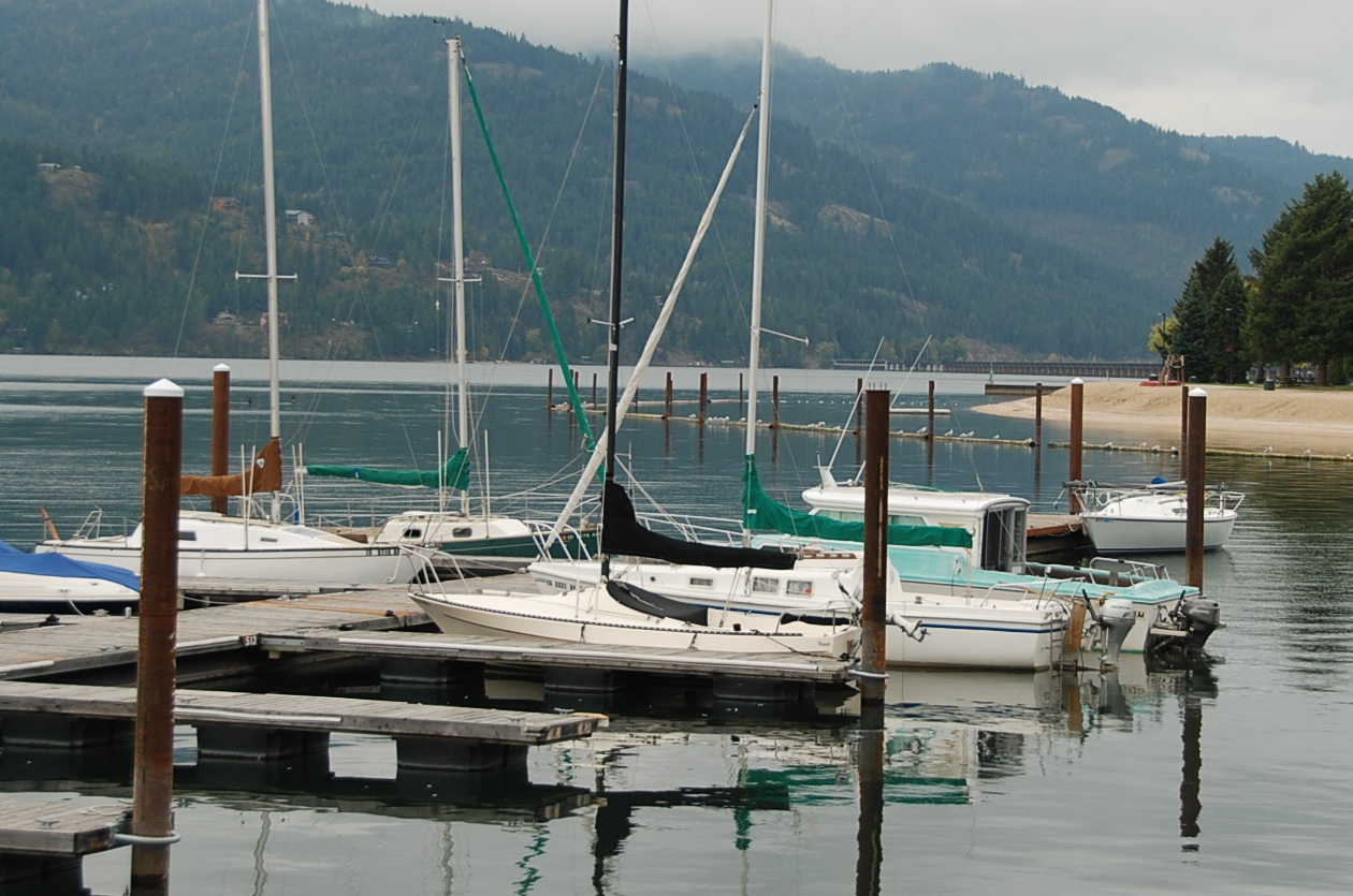 Sally Cannon Ellis' Watercolor Adventures: Compliment Painting ...