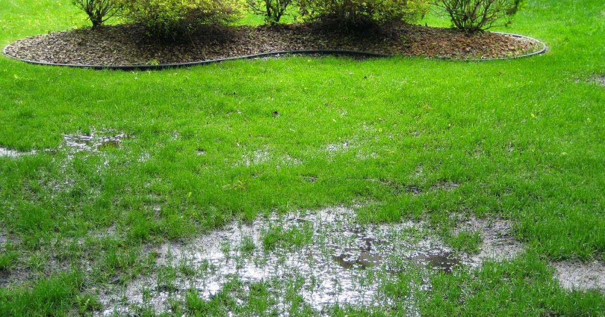 Bio-Safe One Technology: Bio Safe One Septic Tank Solution Post a ...