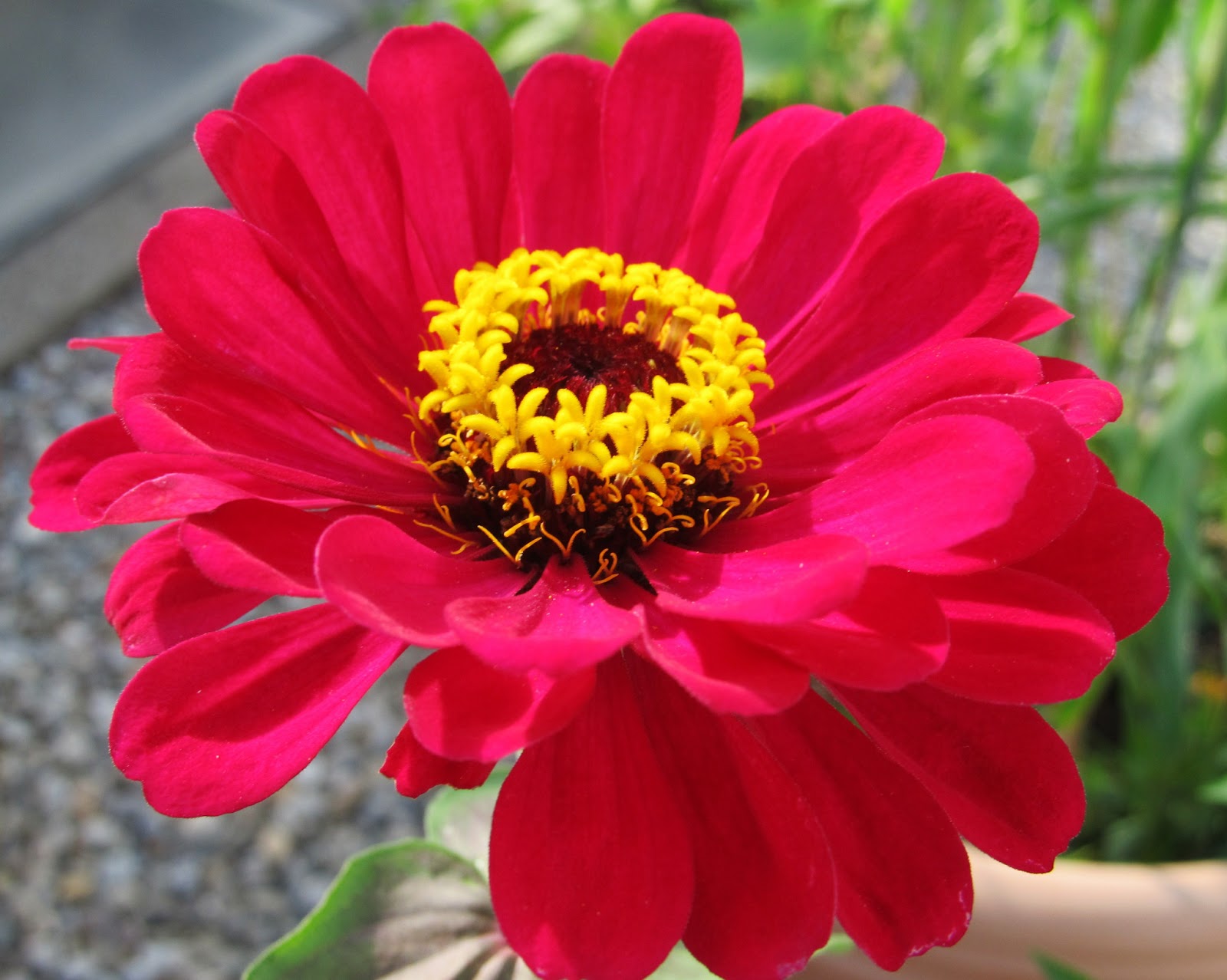 Inspiration: Healing... ~ Positive Kismet