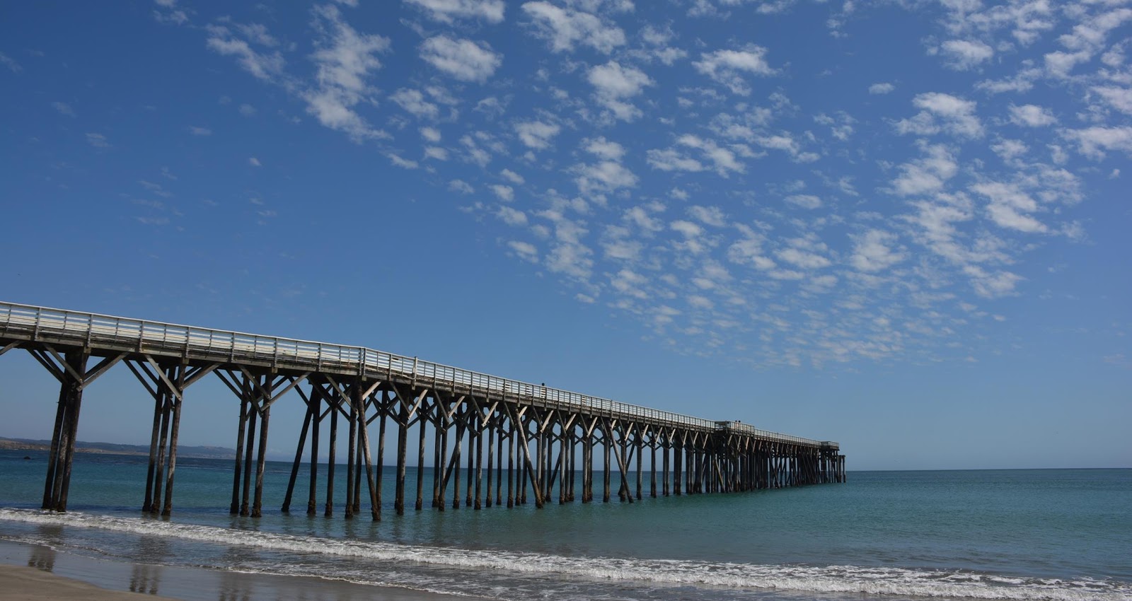 Patrick Tillett: San Simeon Point Trail - California Central Coast