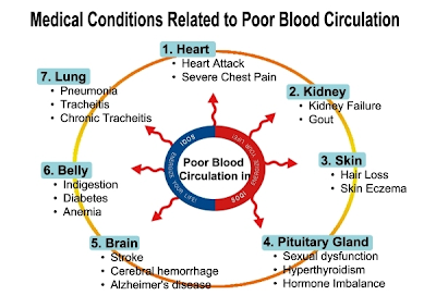 ALTA CARE Laboratoires - Paris: Bad Circulation - how to cure it?