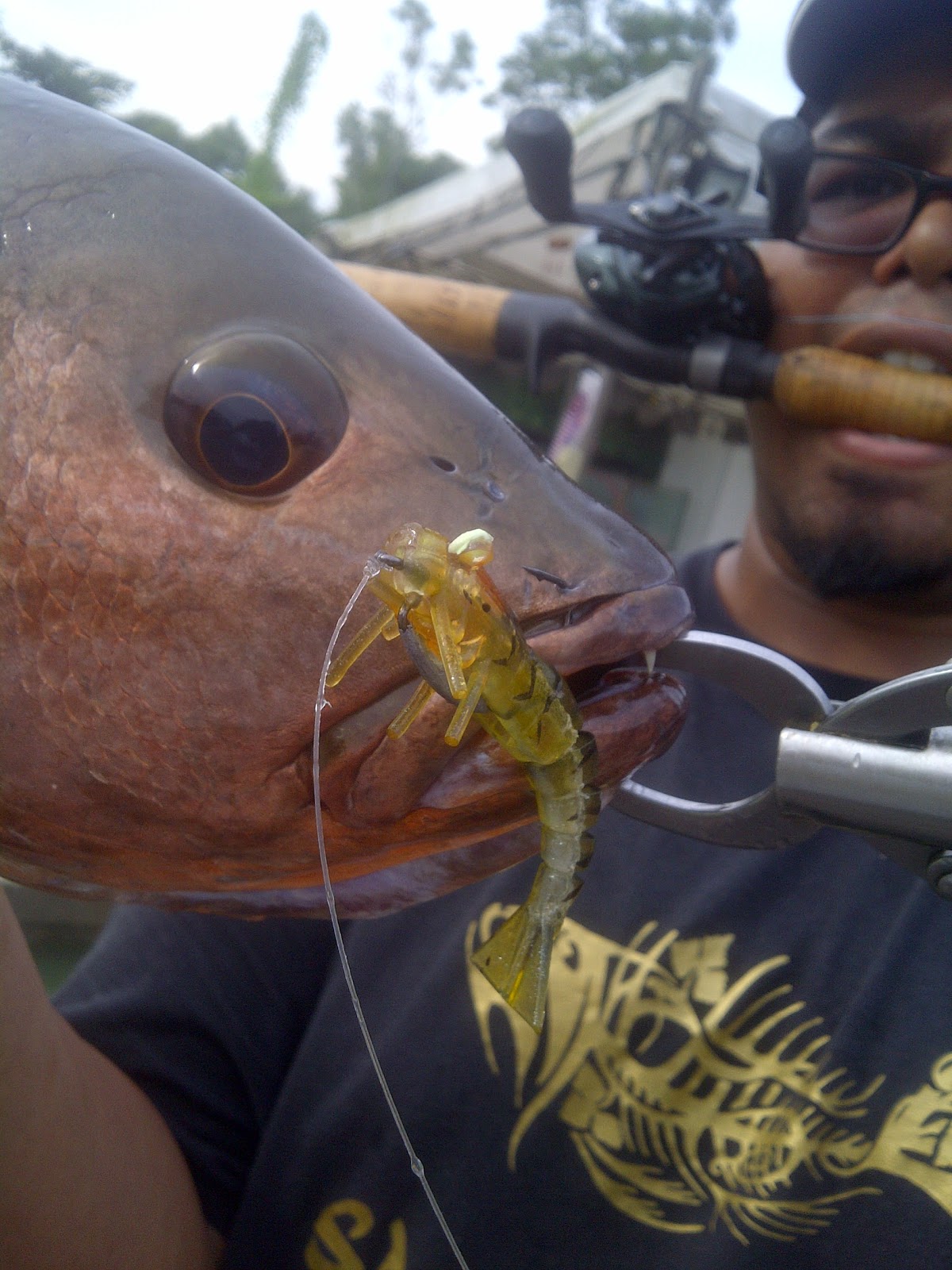 No.2 FW1 C&R Pond - Zerek Live Shrimp