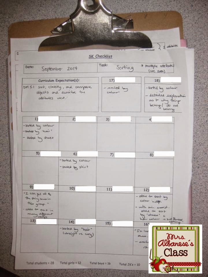 The importance (and fun!) of Documentation | Mrs. Albanese's ...