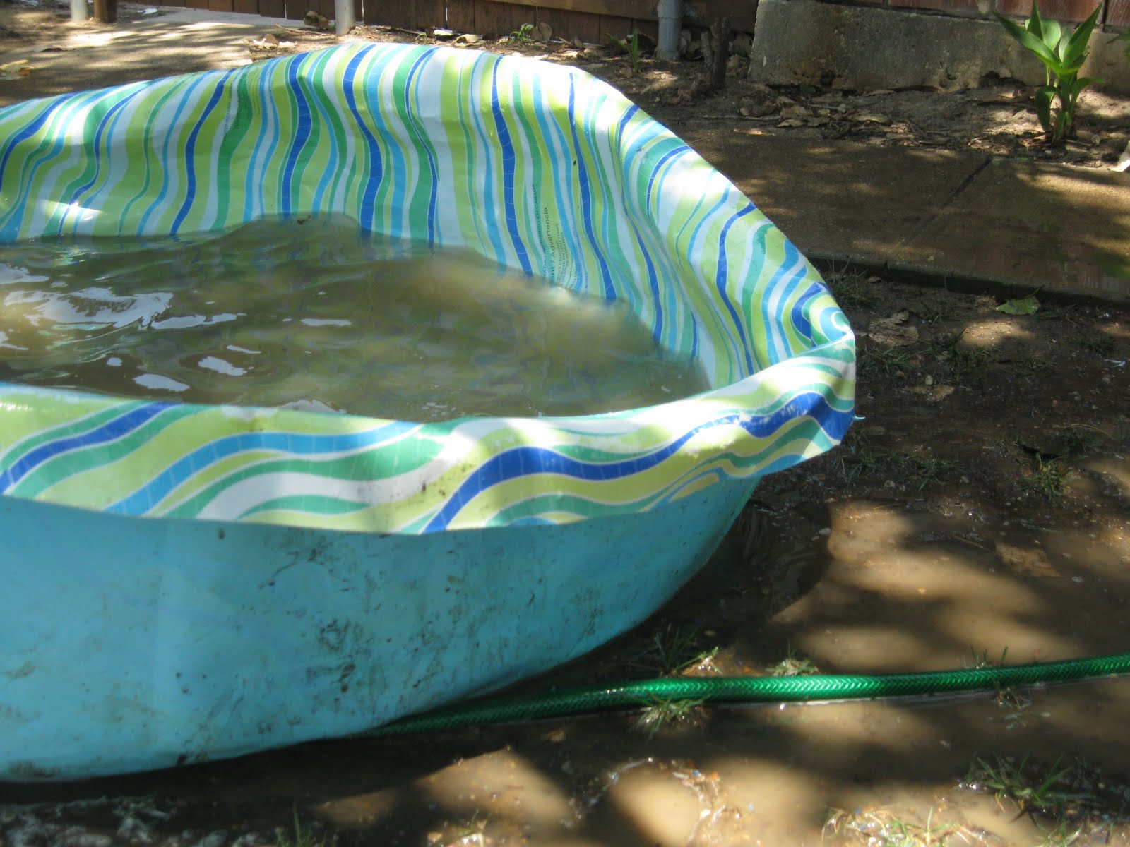 The Soter Family: Oh What Do You Do In The Summertime?