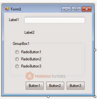 Pilihan warna Radio Button Visual basic 2008 - perdanatutors.com